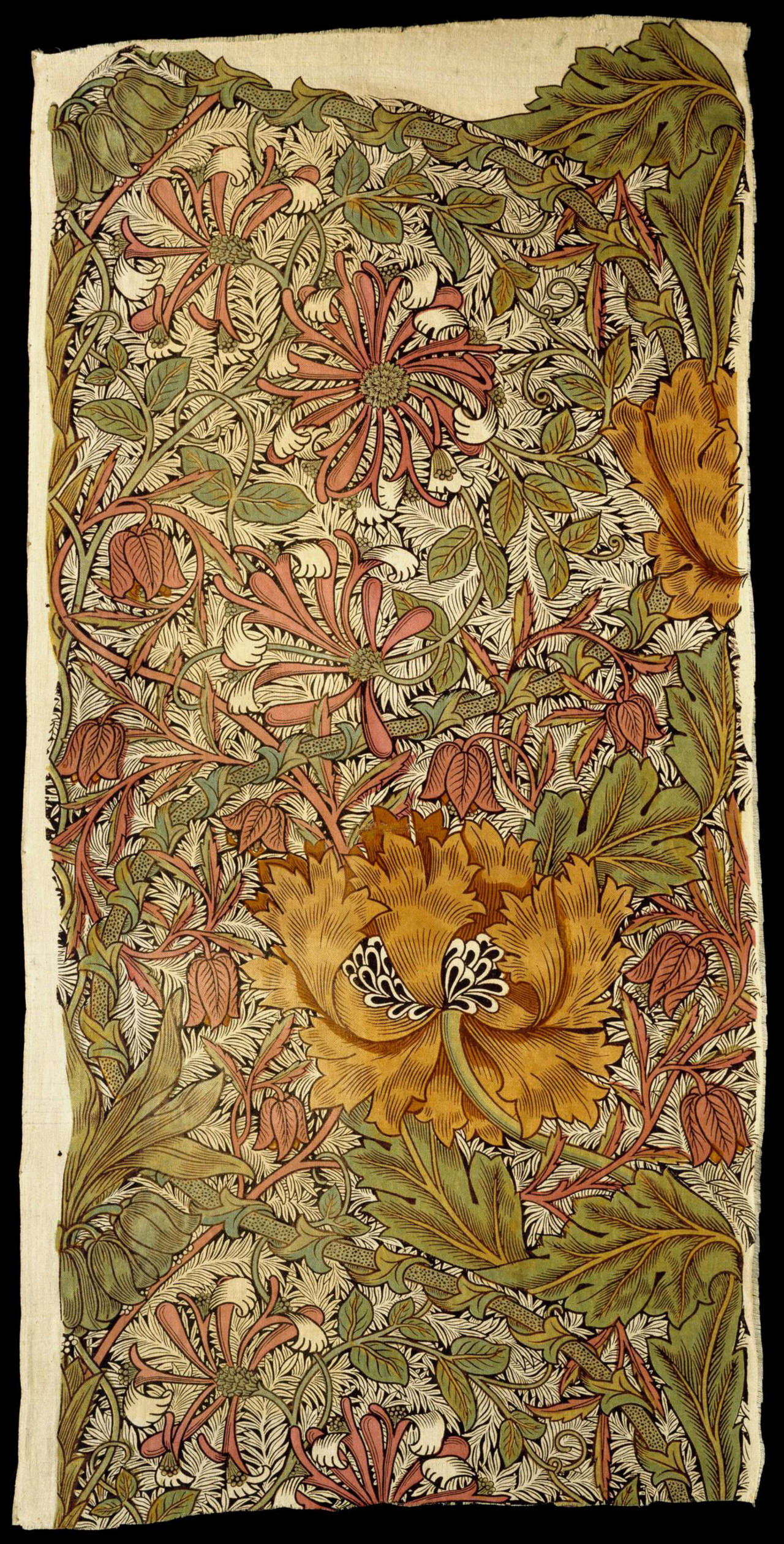 William Morris – Explore the Collections · V&A
