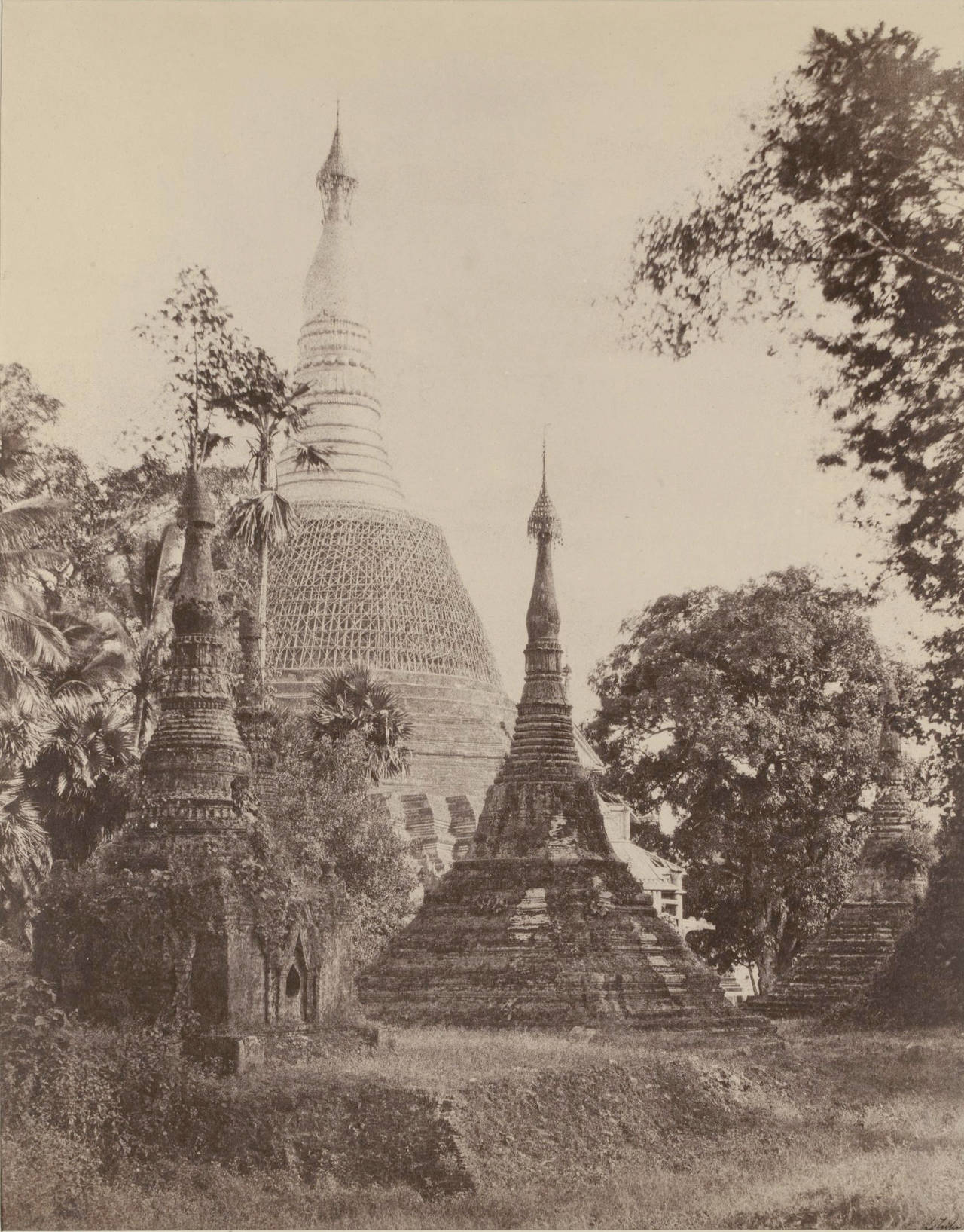 Linnaeus Tripe · V&A