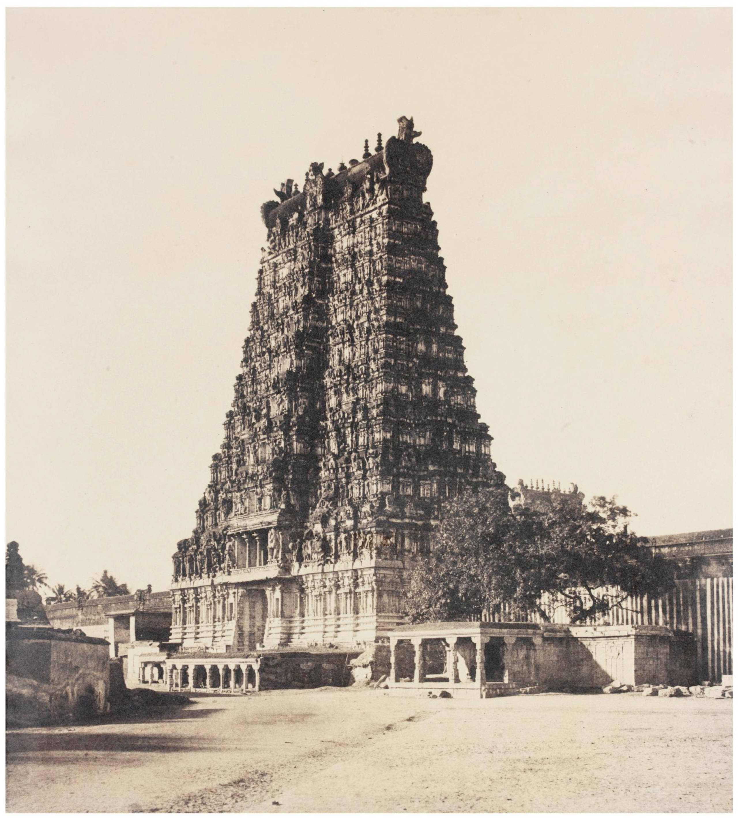 Linnaeus Tripe · V&A