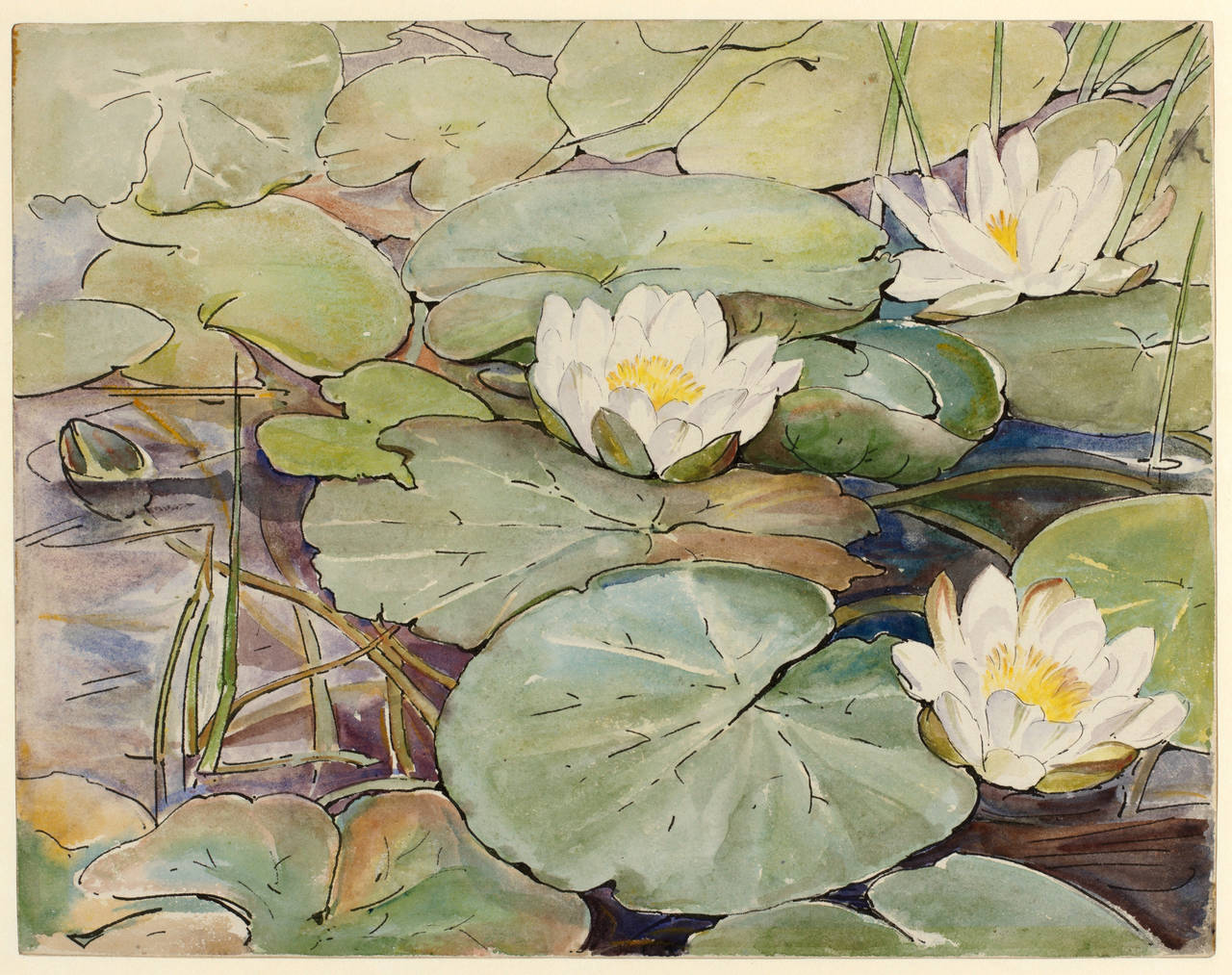 Beatrix Potter – Explore the Collections · V&A