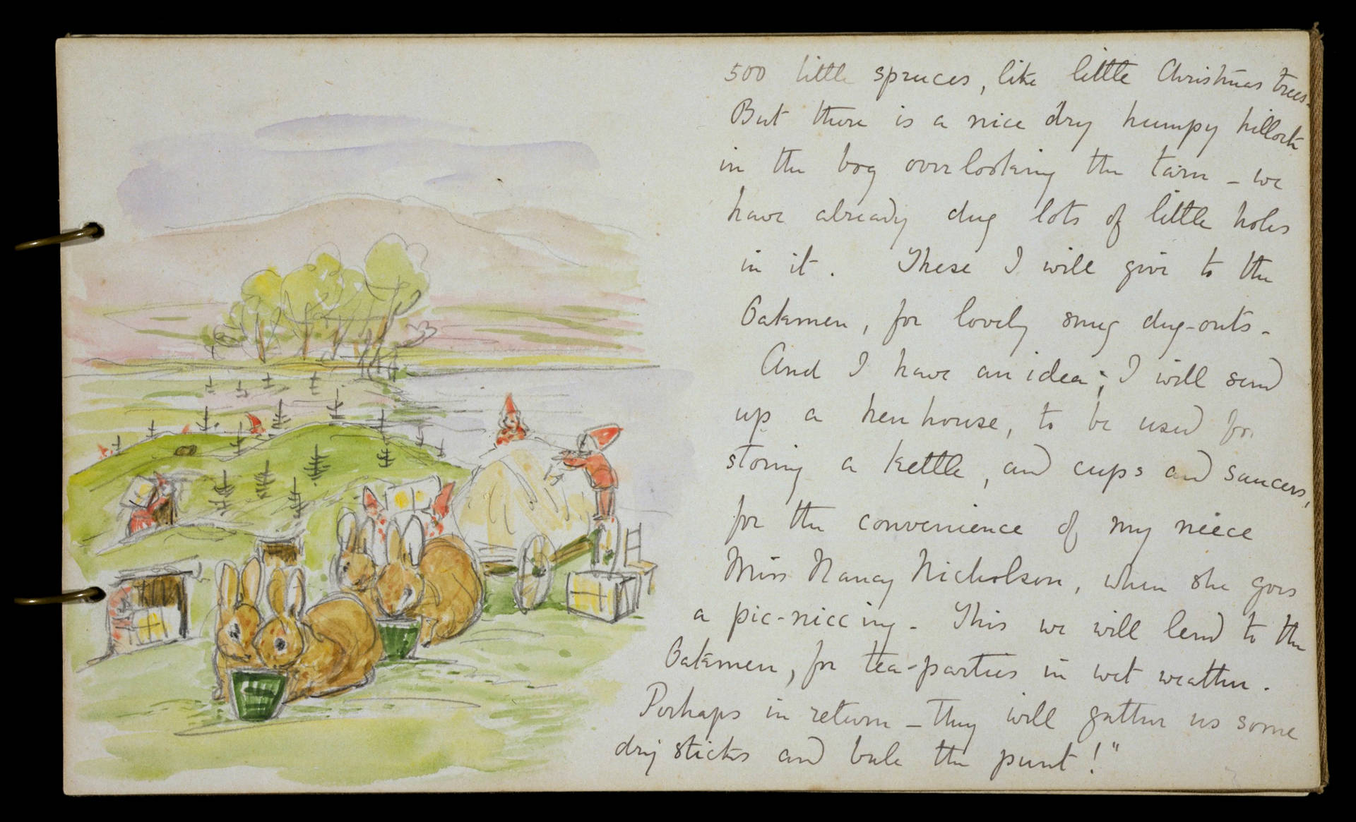 Beatrix Potter · V&A