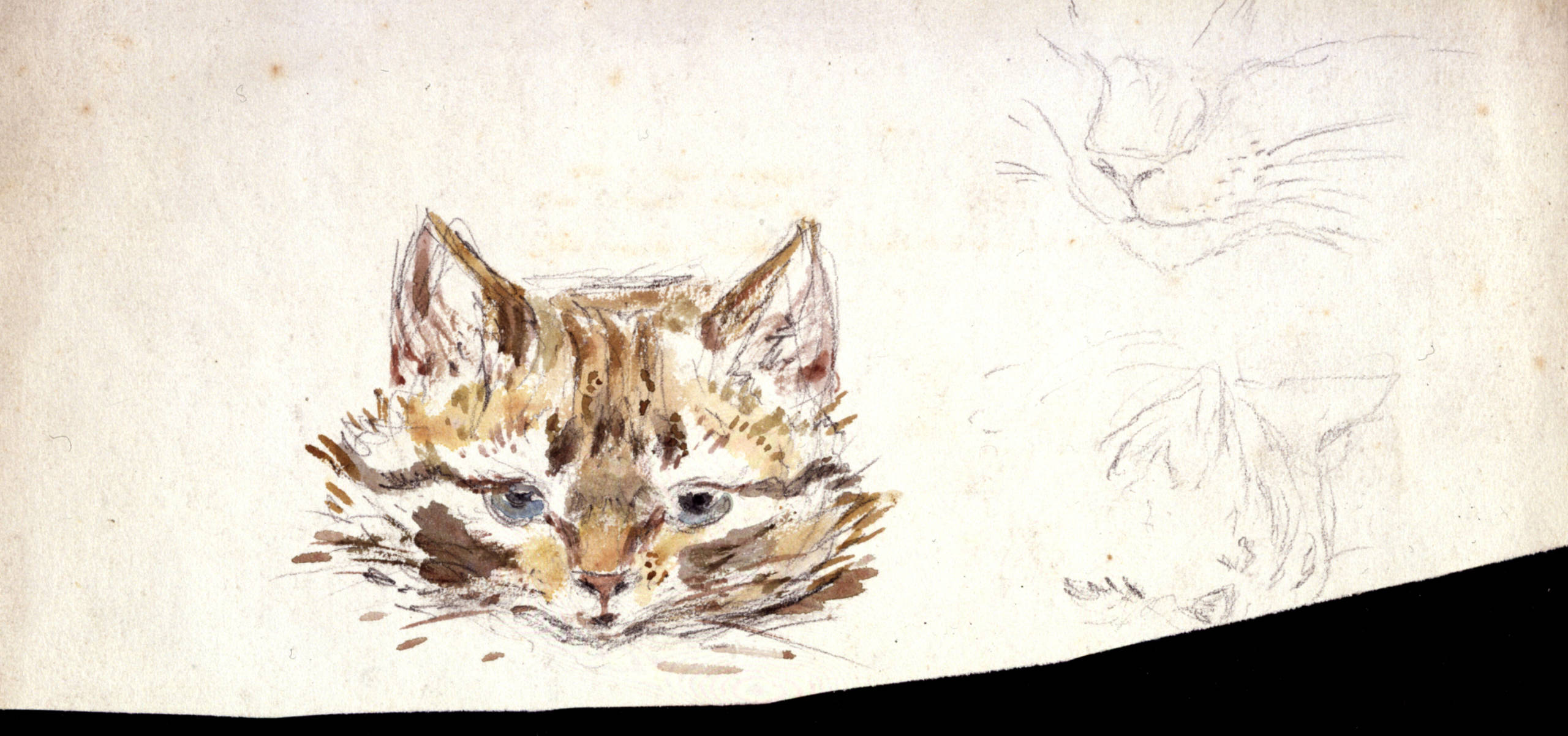 Beatrix Potter · V&A