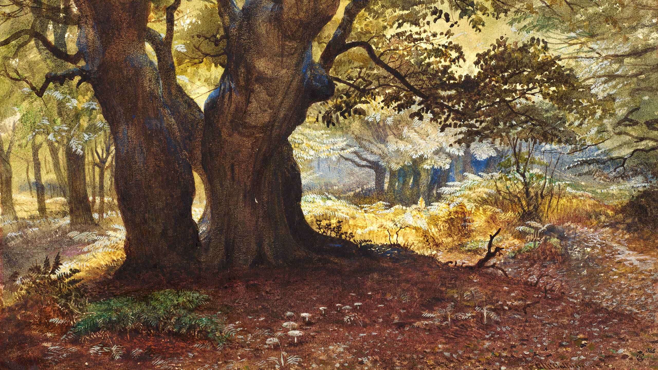 Collection Selection Boxes – Trees in British Art · V&A
