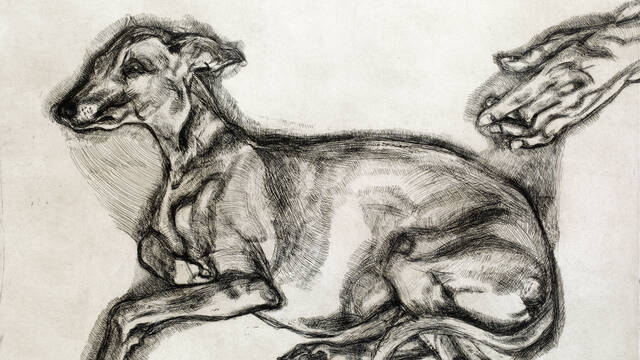 Lucian Freud's Etchings: A Creative Collaboration - Display at V&A ...