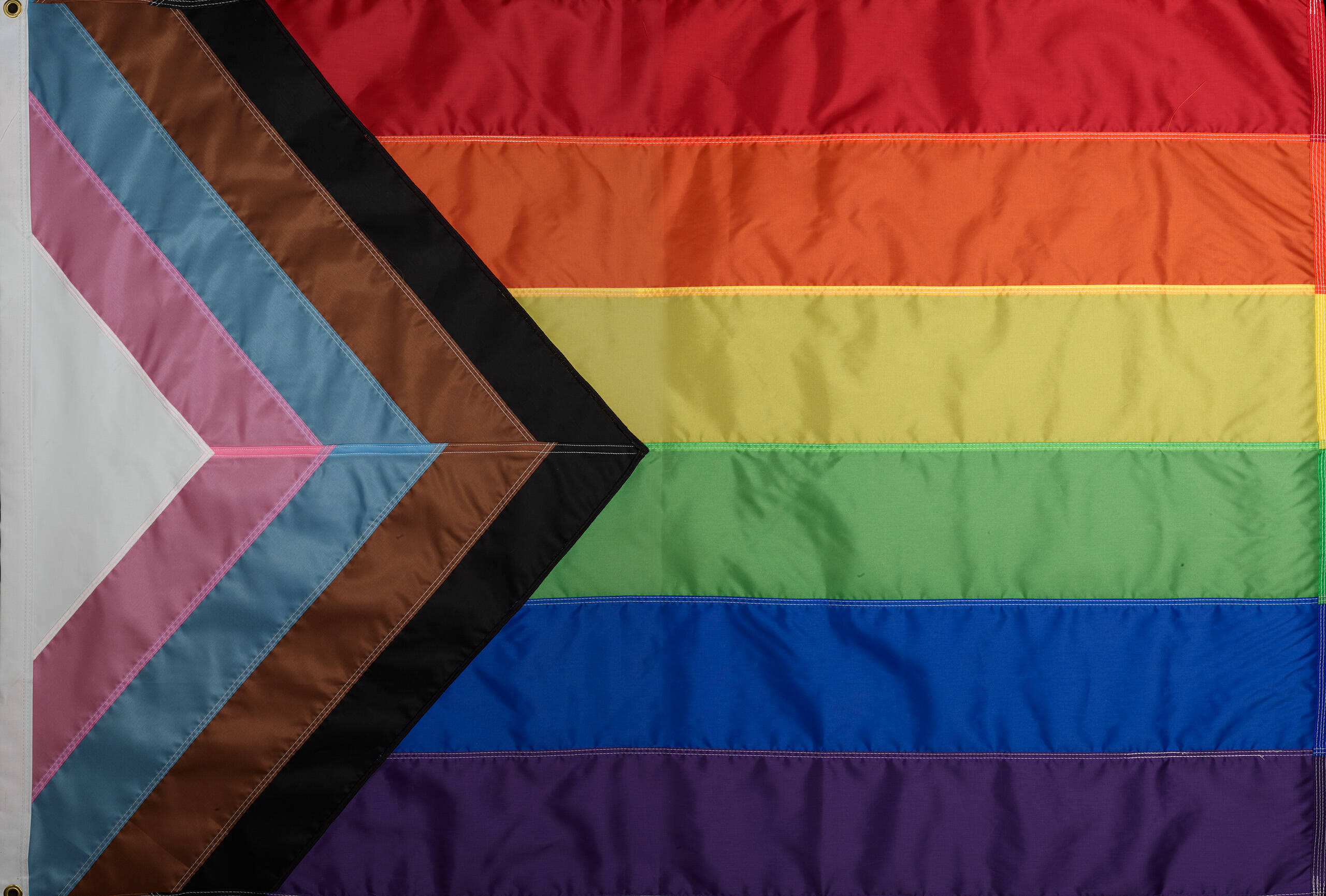 The Progress Pride flag · V&A