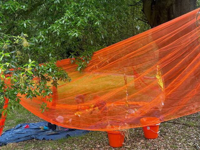 Assemble Play Works at Young V&A - Drop-in at Young V&A · V&A