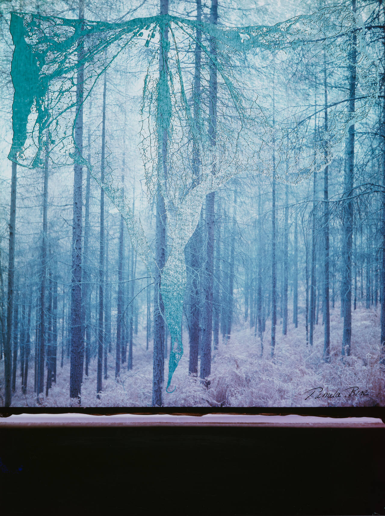 Pamela Bone: a quietly radical photographer · V&A
