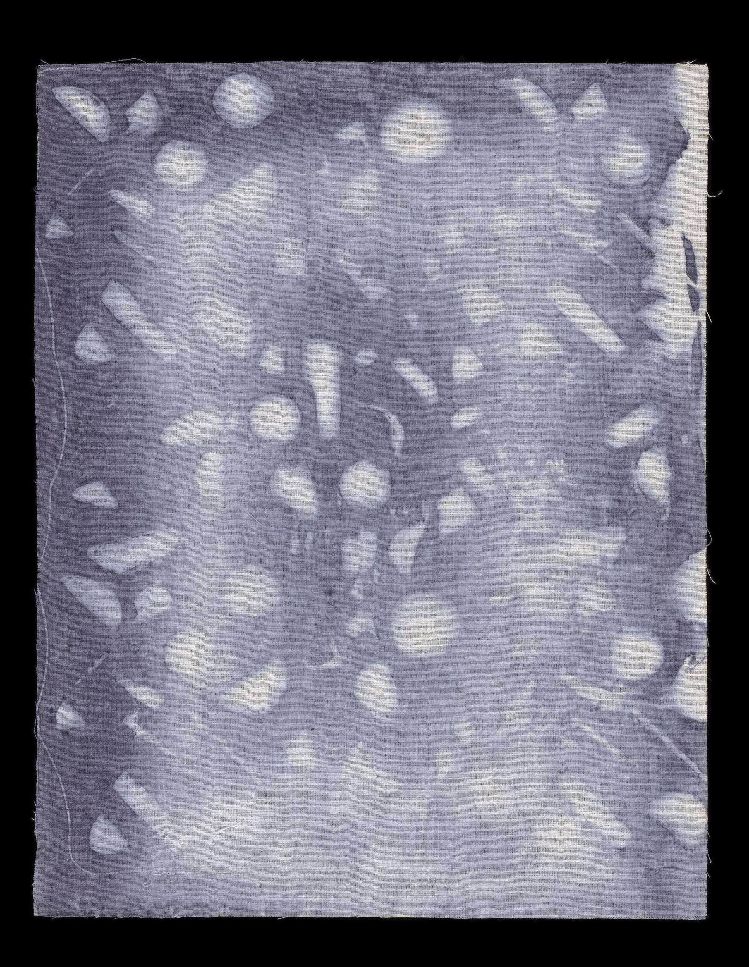 Making Ecologies (May 2026) - Conferences and study days at V&A South ...